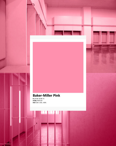 Color Psychology: Baker Miller Pink – LX Artworks
